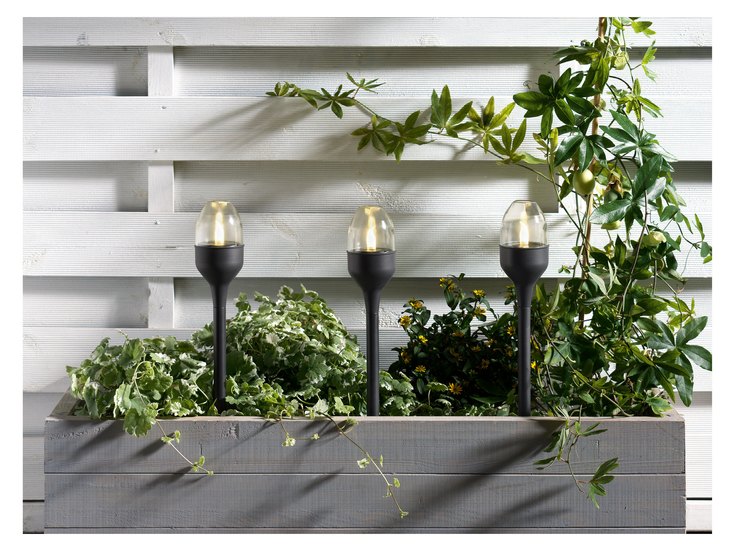 3 LED-solar-lampen online kopen | LIDL