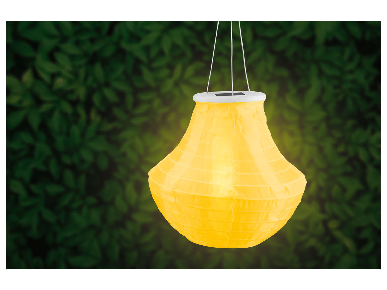 LIVARNO home LED solar lampions Ø22 cm | Lidl