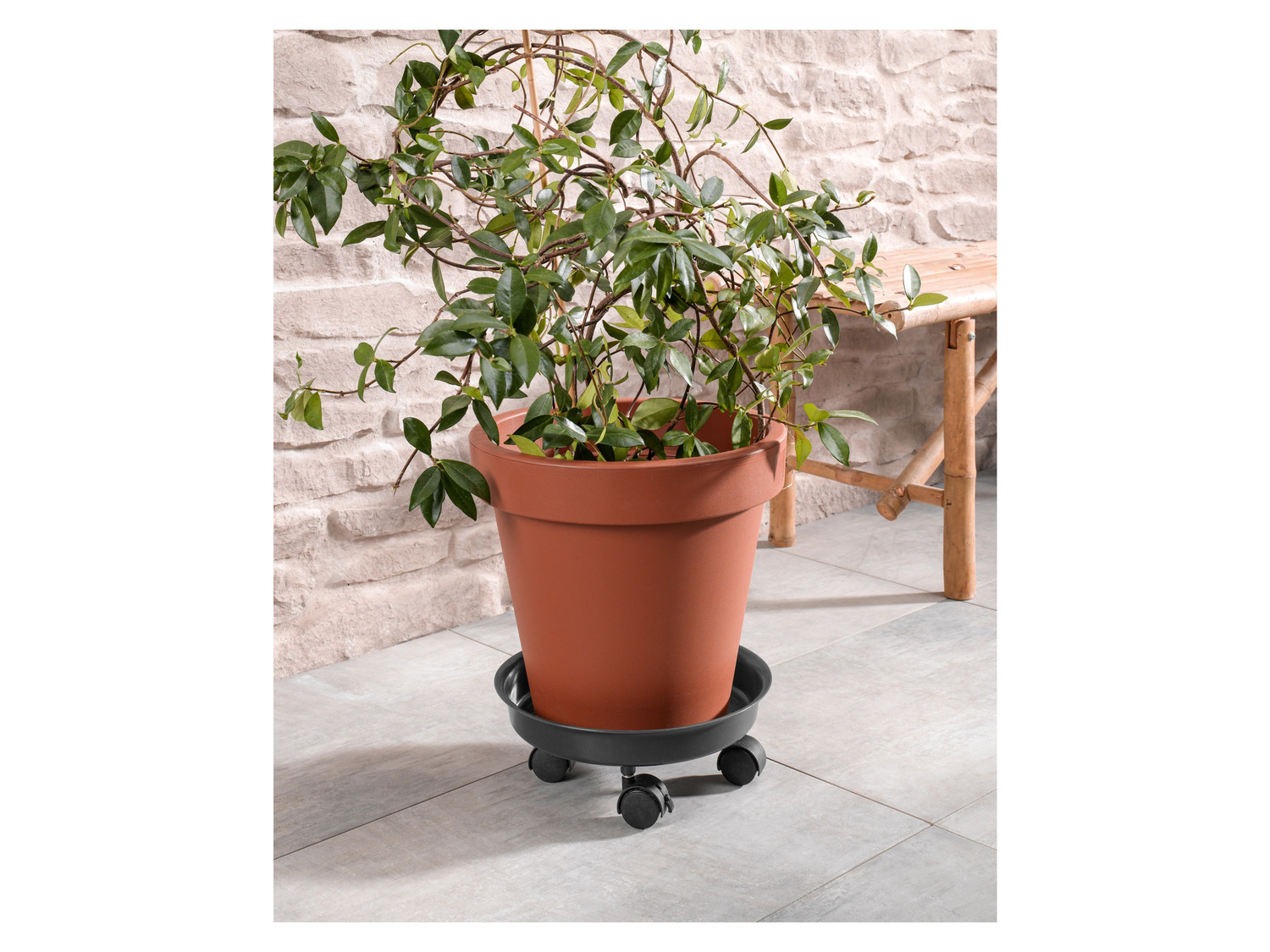 PARKSIDE® Plantentrolley online kopen | LIDL