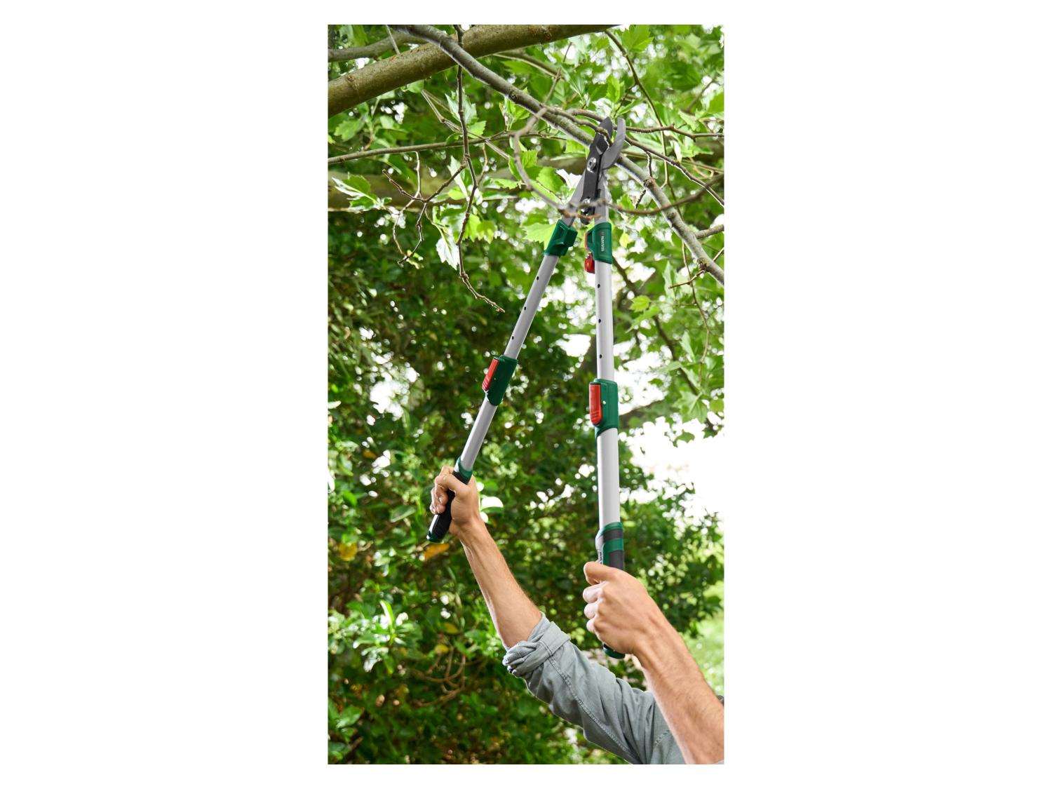 Telescopische snoeischaar online kopen | LIDL