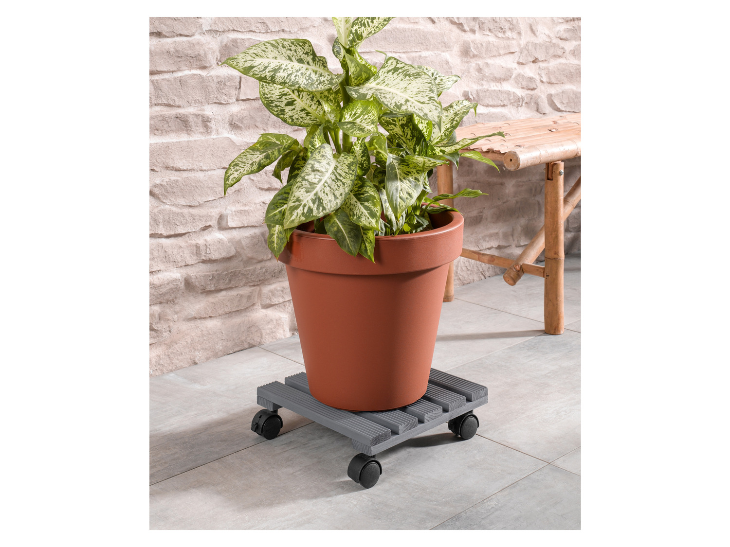 Plantentrolley online kopen | LIDL