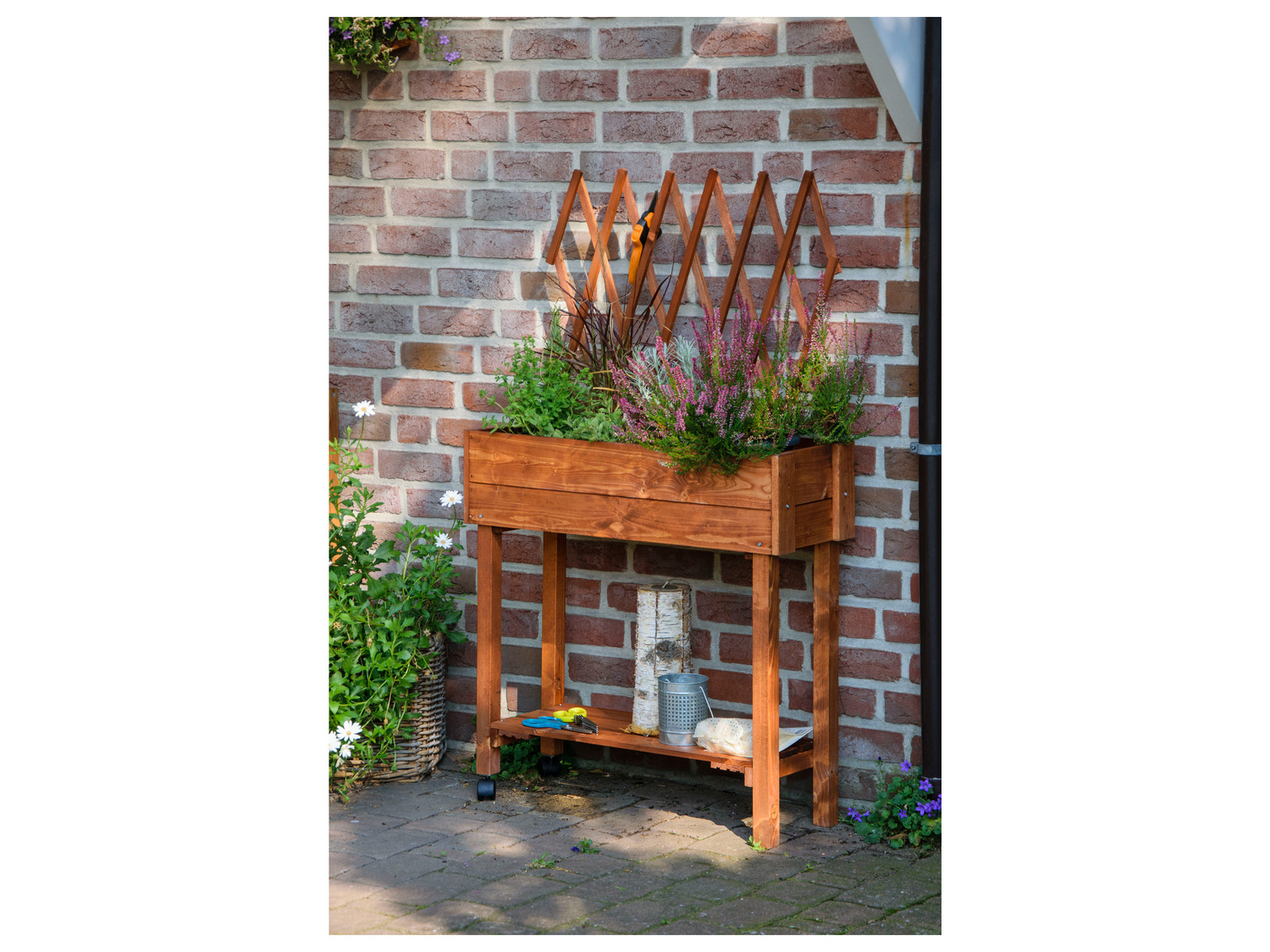 Moestuinbak met rek online kopen | LIDL