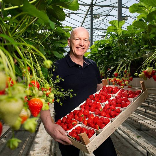 Groente en Fruit Telers